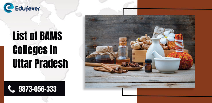 List of BAMS Colleges in Uttar Pradesh 2023-24